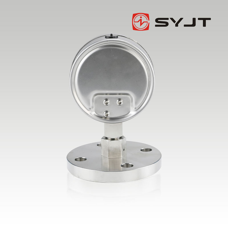 Y-100BF-MF法兰安装隔膜压力表-上仪电气股份有限公司